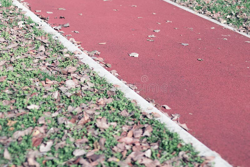 Jogging Track in the Park. Autumn Edition Stock Image - Image of ...
