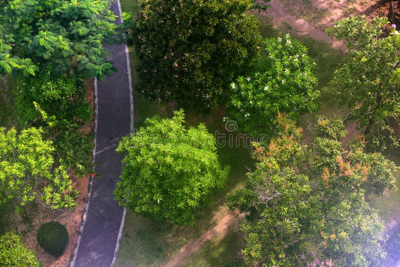 Jogging trail in the park. stock image. Image of neighborhood - 100011129