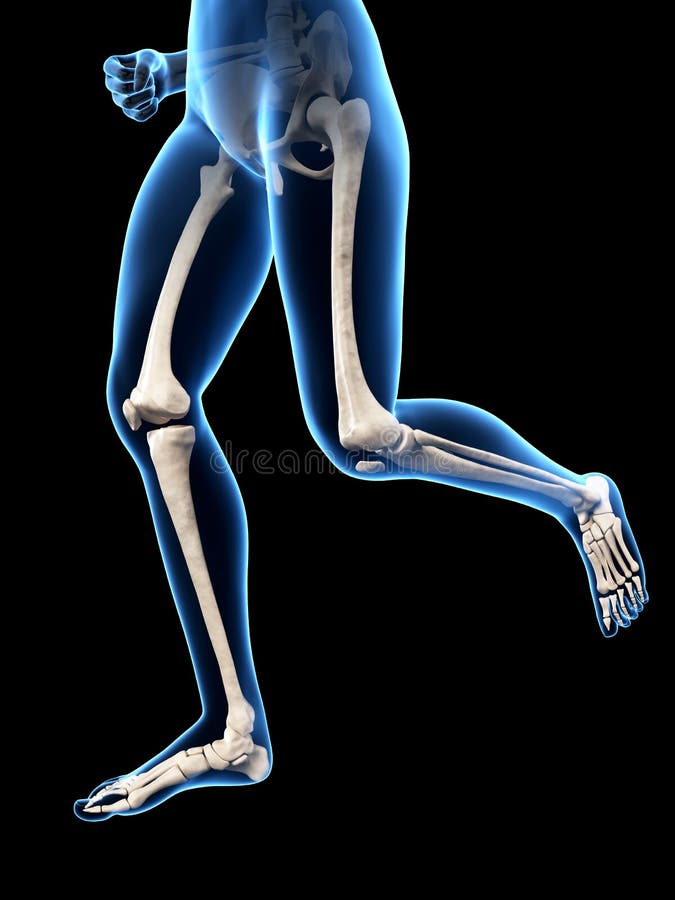 Jogging woman stock illustration. Illustration of knee - 38864679