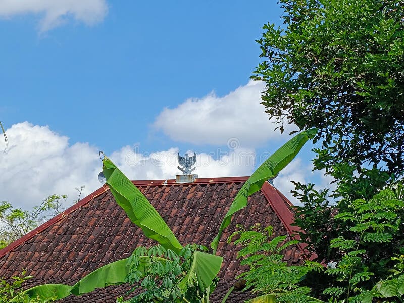 Joglo House stock photo. Image of central, house, joglo - 261807408