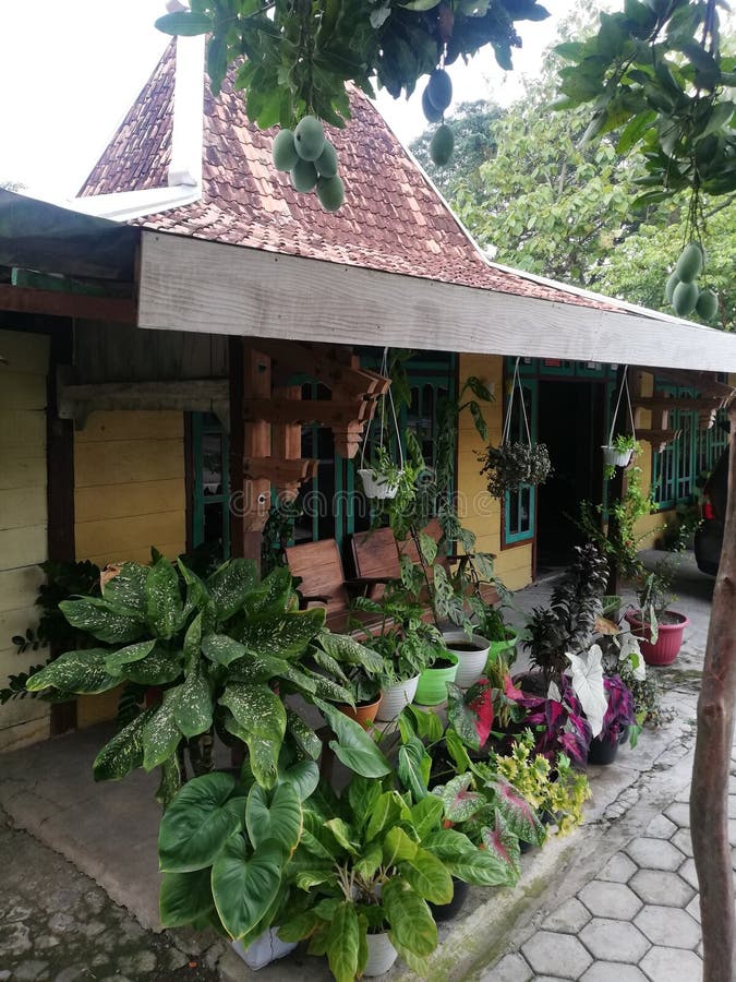 Joglo house stock image. Image of joglo, house, central - 262308299