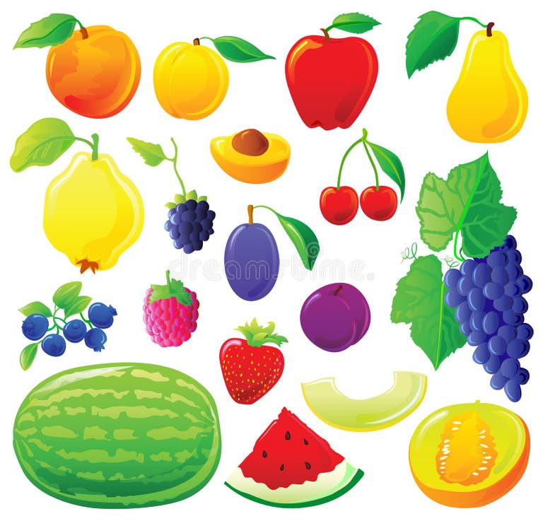 Jogo da fruta ilustração do vetor. Ilustração de alaranjado - 6730120