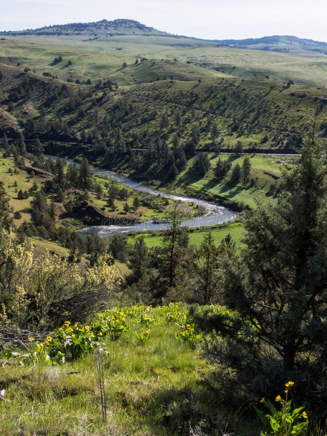 John Day River with Spring Flowers Stock Image - Image of umatilla ...