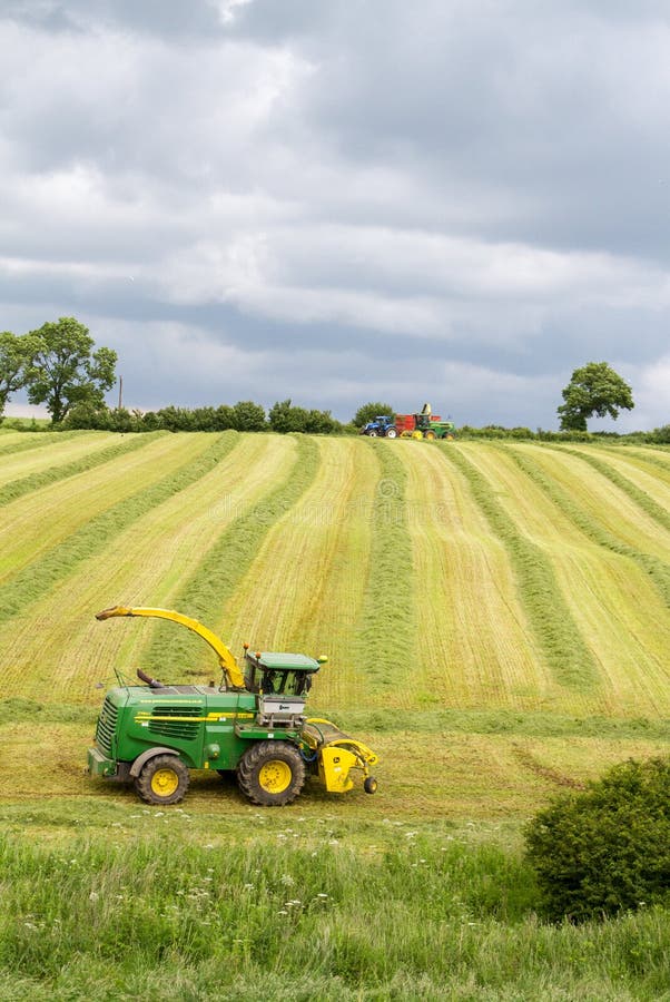 John Deere Forage Harvester Editorial Photo - Image of breeding, green ...