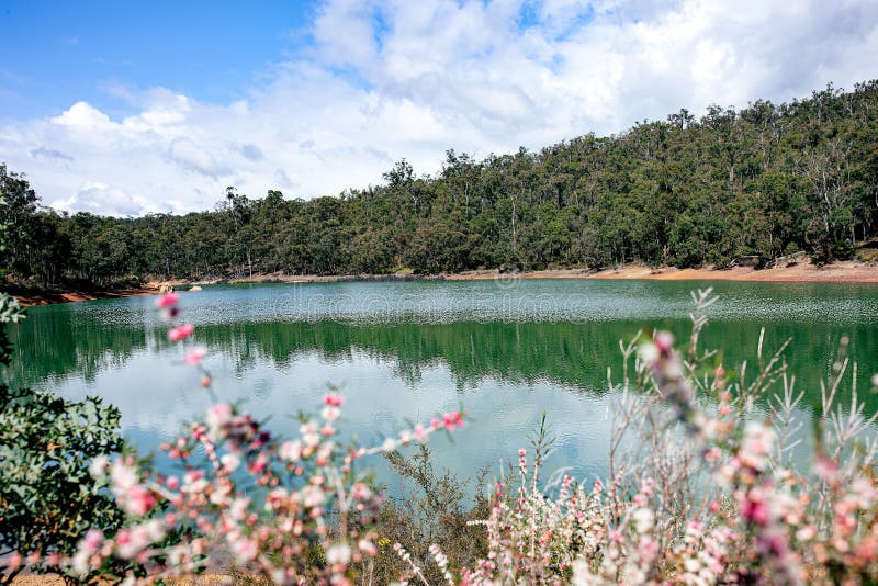 John forrest national park stock photo. Image of nation - 228602094