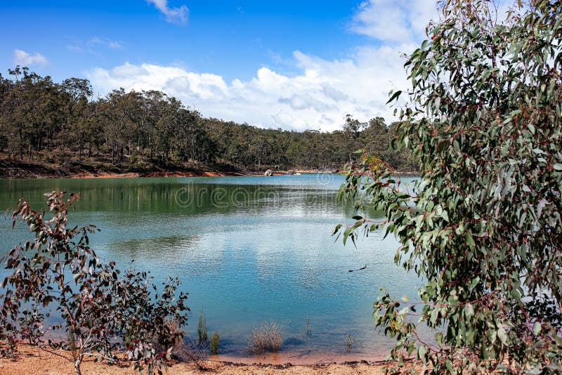 John forrest national park stock image. Image of wilderness - 228627679