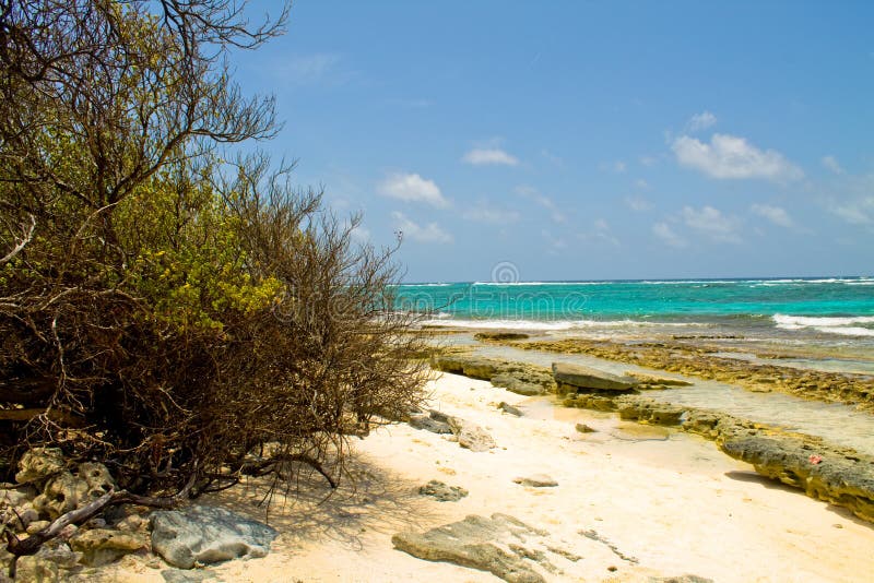 Johnny Cay Beach En San Andres/Colombia Foto de archivo - Imagen de ...