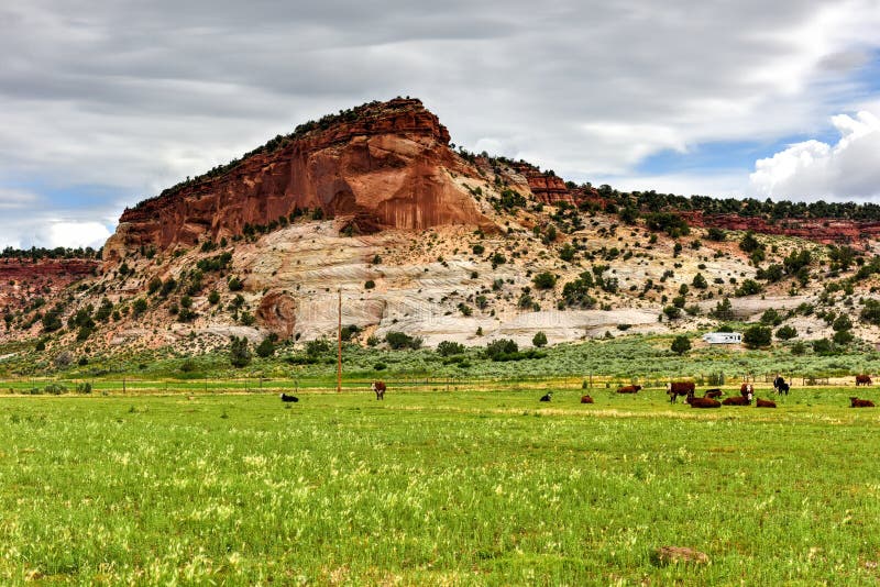 Johnson Canyon Road - Utah stock image. Image of monument - 75429391