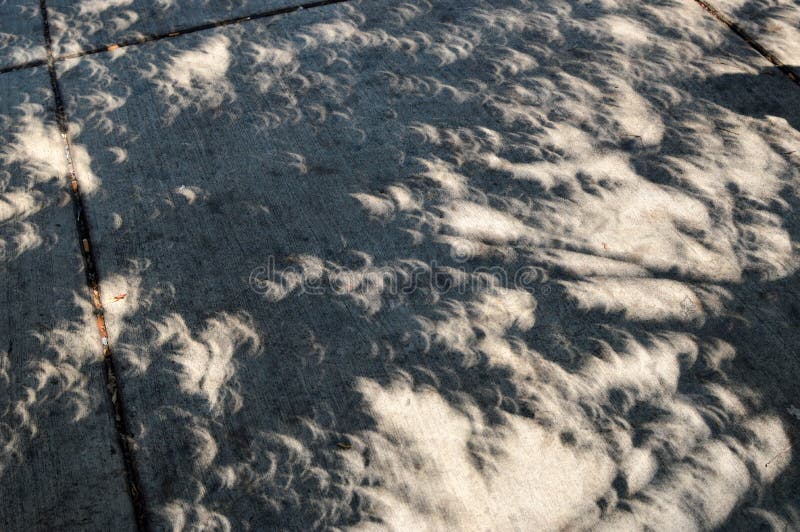 Strange Shadows during a Solar Eclipse Stock Image - Image of eclipse ...