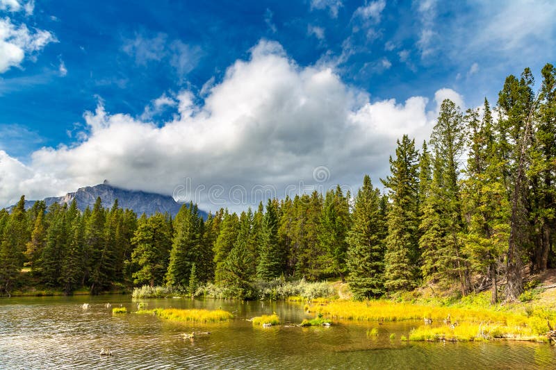 Johnson lake in Banff stock photo. Image of adventure - 230694118