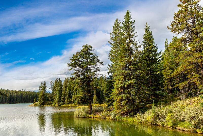 Johnson lake in Banff stock photo. Image of hike, pine - 235985188