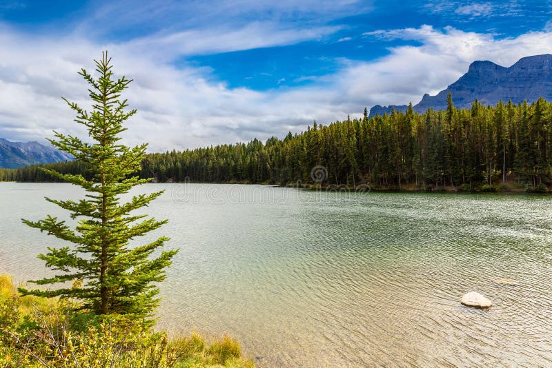 Johnson lake in Banff stock image. Image of forest, adventure - 263123971