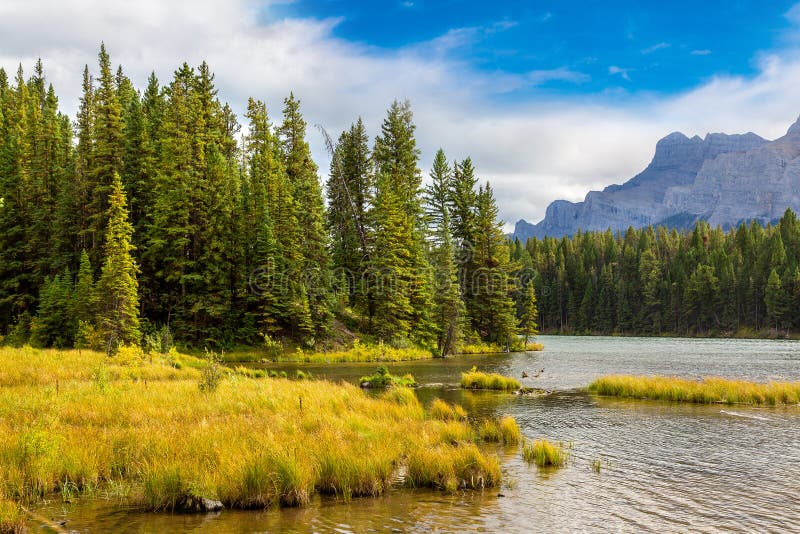 Johnson lake in Banff stock photo. Image of lake, panoramic - 267768498