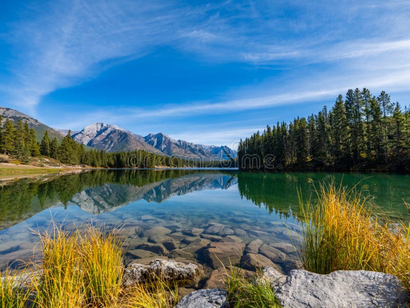 Johnson Lake Banff National Park Stock Photo - Image of tree, tarn ...