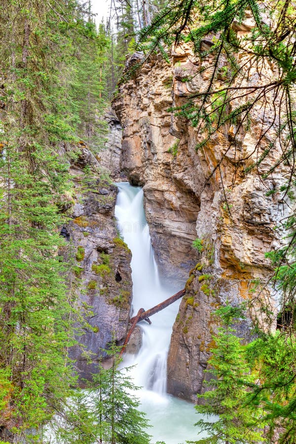 Bow Falls Banff Canada stock photo. Image of park, rushes - 100853580