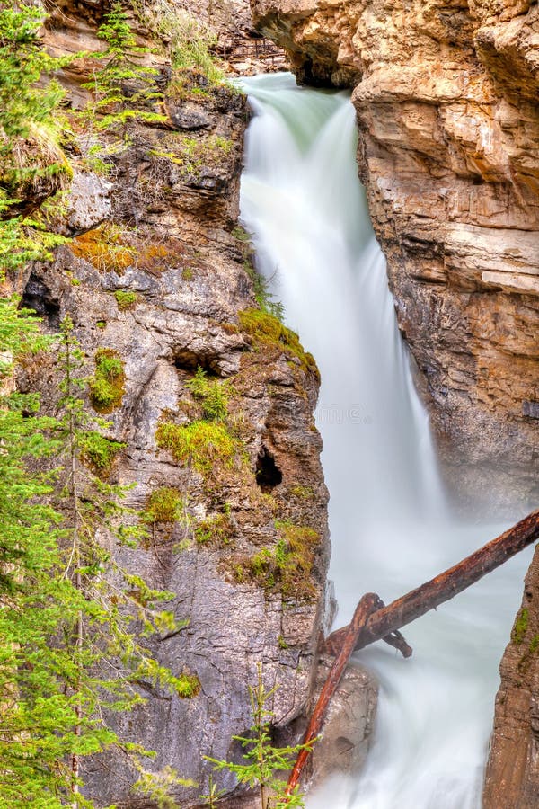 Bow Falls Banff Canada stock photo. Image of park, rushes - 100853580