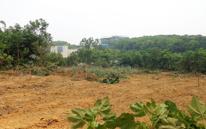 Site Clearing Works and Formation of Building Platforms for ...