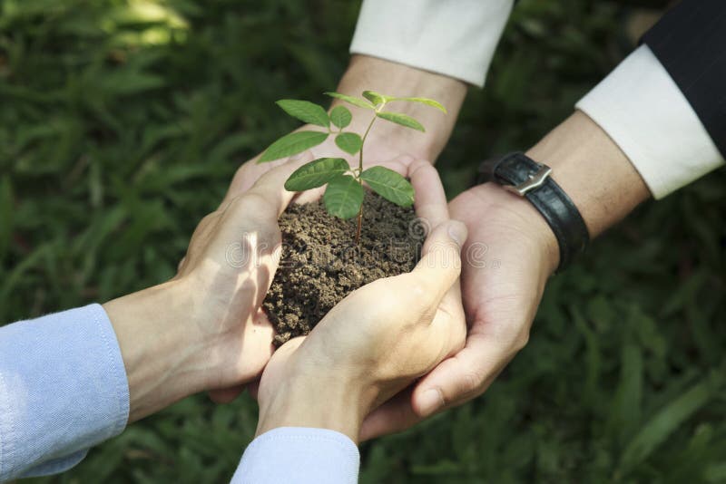 Join Forces with Government, Private Sector and People To Help Plant ...