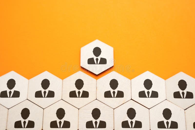 Join the Team. Integration of New Members into the Existing Workforce ...