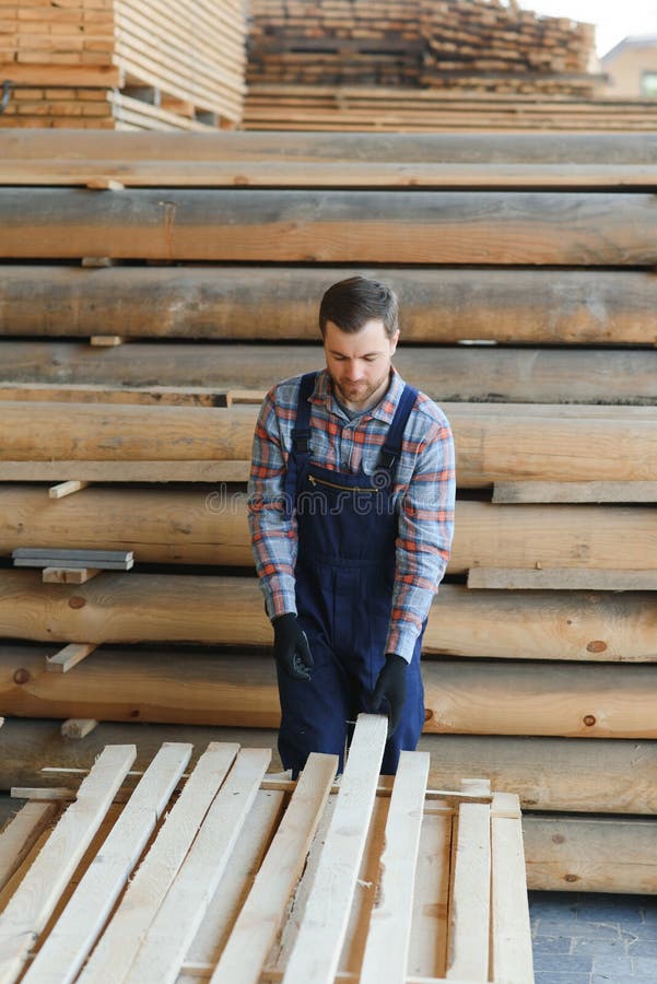 Joiner in Uniform Check Boards on Timber Mill Stock Photo - Image of ...