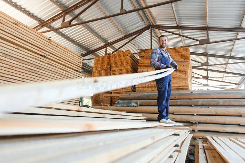 Joiner in Uniform Check Boards on Timber Mill Stock Photo - Image of ...