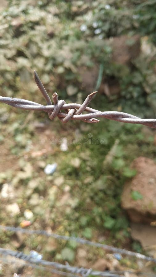 Gi Wire Stock Photos - Free & Royalty-Free Stock Photos from Dreamstime