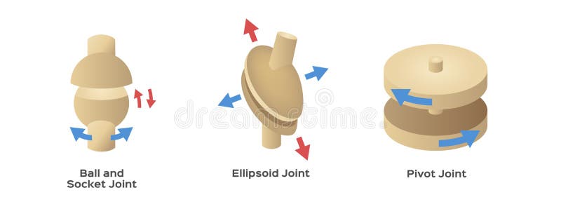 Saddle Joint Stock Illustrations – 112 Saddle Joint Stock Illustrations ...