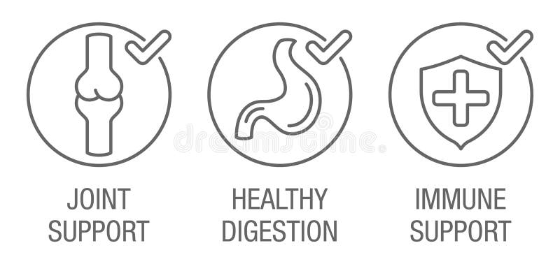 Joint Support, Healthy Digestion, Immune Support Stock Vector ...