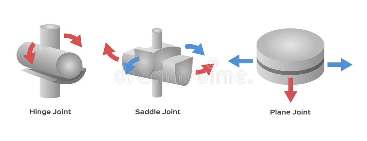 Saddle Joint Stock Illustrations – 112 Saddle Joint Stock Illustrations ...