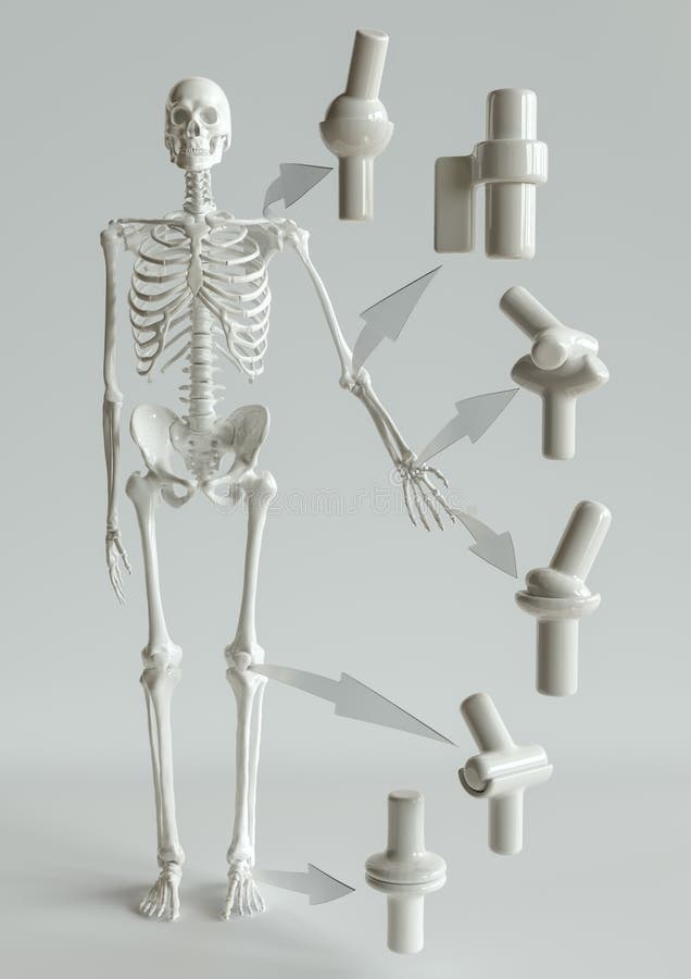 Types of Joints Vector Illustration. Labeled Skeleton Connections ... Types of Joints Vector Illustration. Labeled Skeleton Connections ...