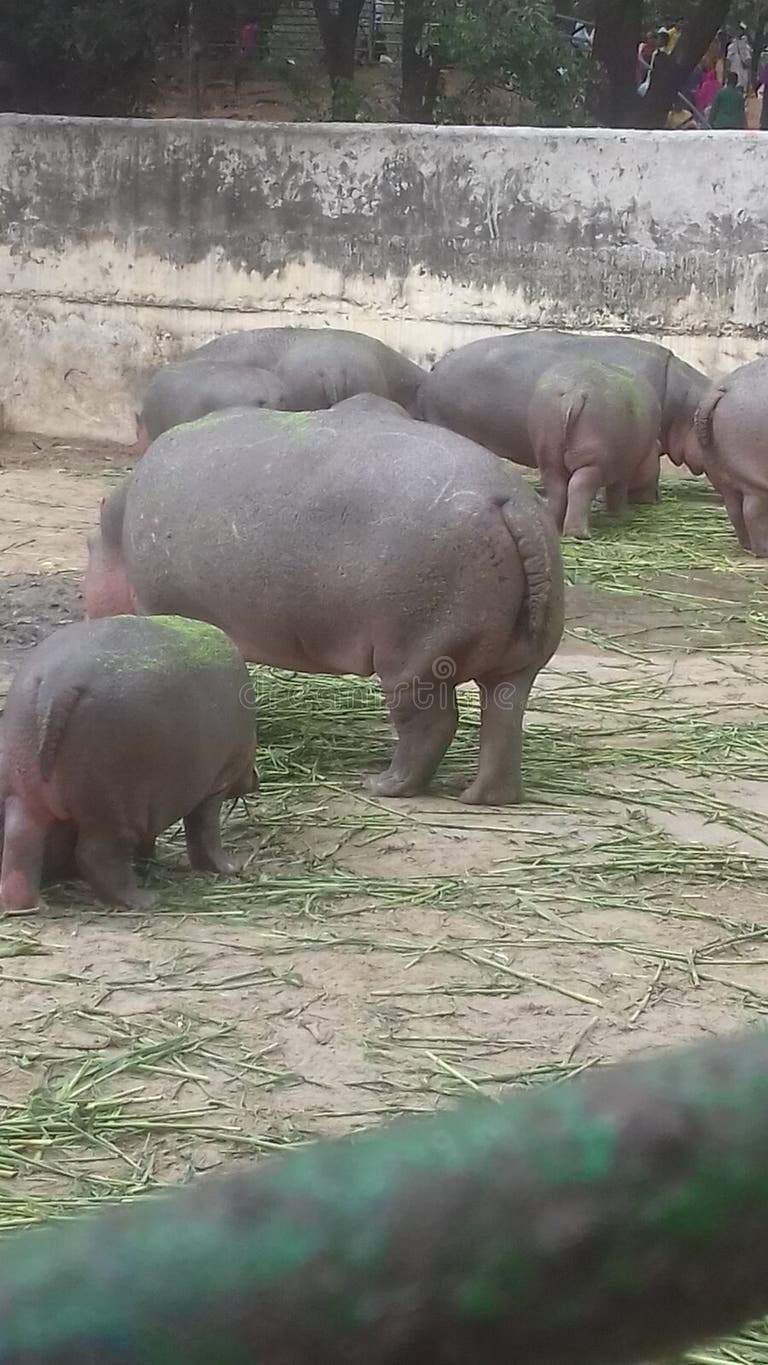 Jol Poribortoner Pic Stock Photos - Free & Royalty-Free Stock Photos from Dreamstime