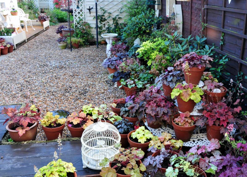 Joli jardin photo stock. Image du assez, arbre, jardin - 26882724