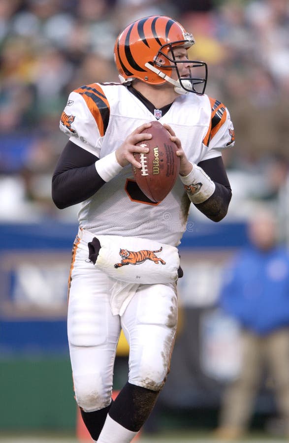 Jon Kitna imagen de archivo editorial. Imagen de amplio - 173652654