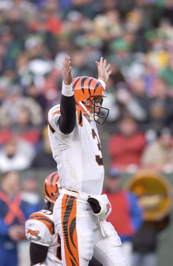 Jon Kitna editorial image. Image of color, bengals, conference - 73685610