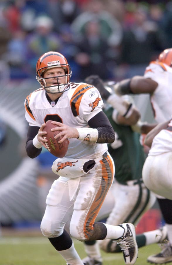 Jon Kitna editorial image. Image of color, bengals, conference - 73685610
