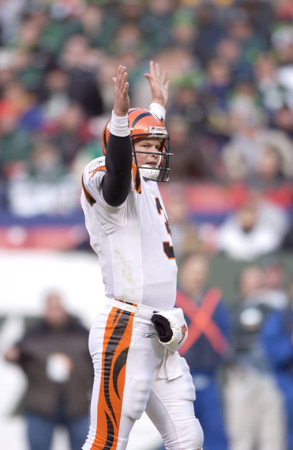 Jon Kitna editorial photo. Image of league, taking, slide - 73685651