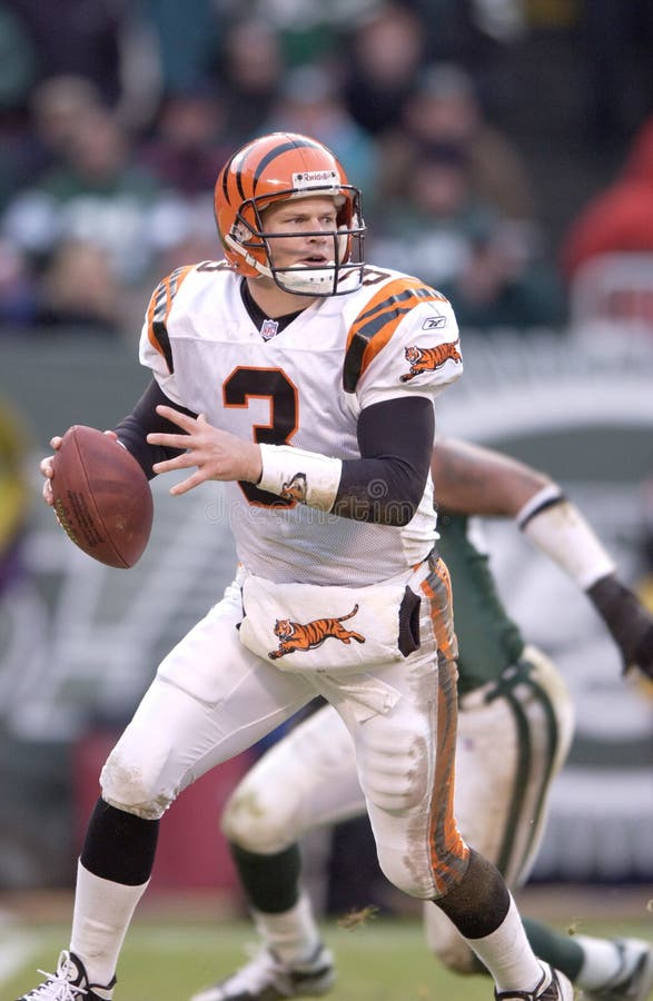 Jon Kitna Cincinnati Bengals Stock Photos - Free & Royalty-Free Stock ...