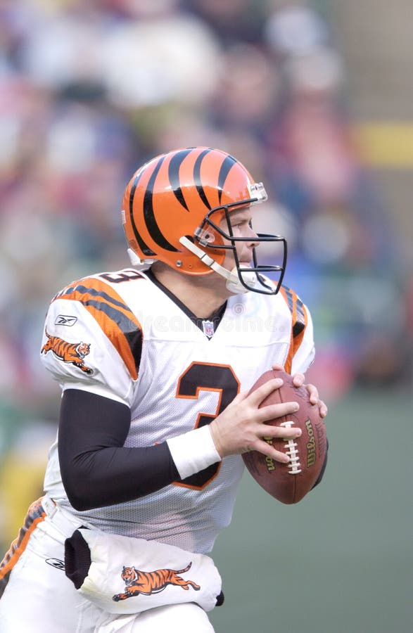 Jon Kitna editorial stock image. Image of national, game - 76343714