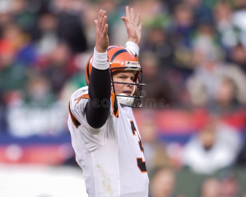 Jon Kitna editorial stock image. Image of national, game - 76343714