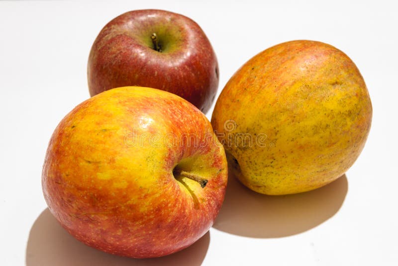 Rot-gelber Jonathan-Apfel, Lokalisiert Stockfoto - Bild von gesundheit ...