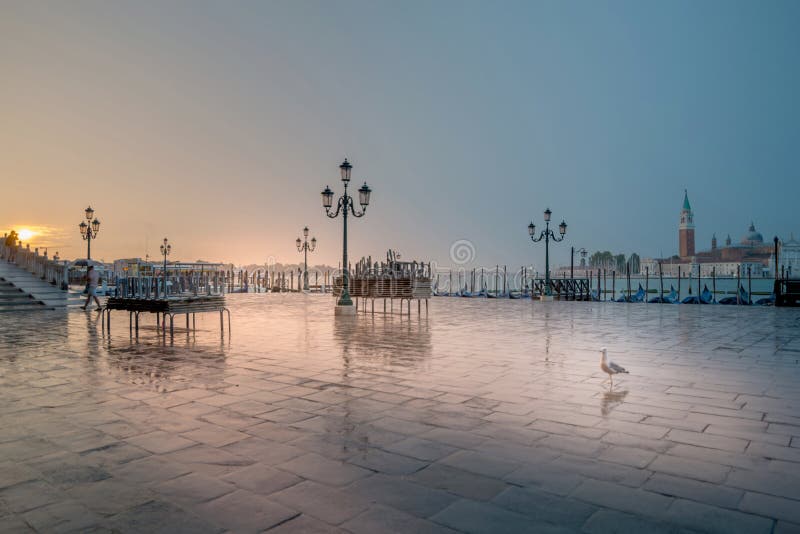 Jonathan Swingler Instagram Stock Photos - Free & Royalty-Free Stock ...