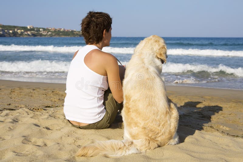 Jong Meisje En Een Hondzitting Stock Afbeelding - Image of actief, dier ...