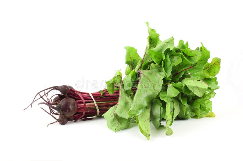 Jonge Greens van de Biet stock afbeelding. Image of bladeren - 15304393