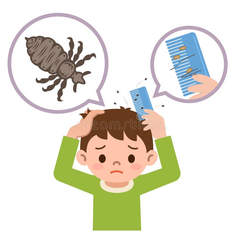 Jongenskam Het Haar Met Een Kam Voor Luizen Vector Illustratie ... Jongenskam Het Haar Met Een Kam Voor Luizen Vector Illustratie ...
