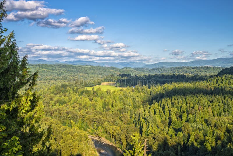 Jonsrud Forest and Sandy River Viewpoint Oregon State Stock Image ...