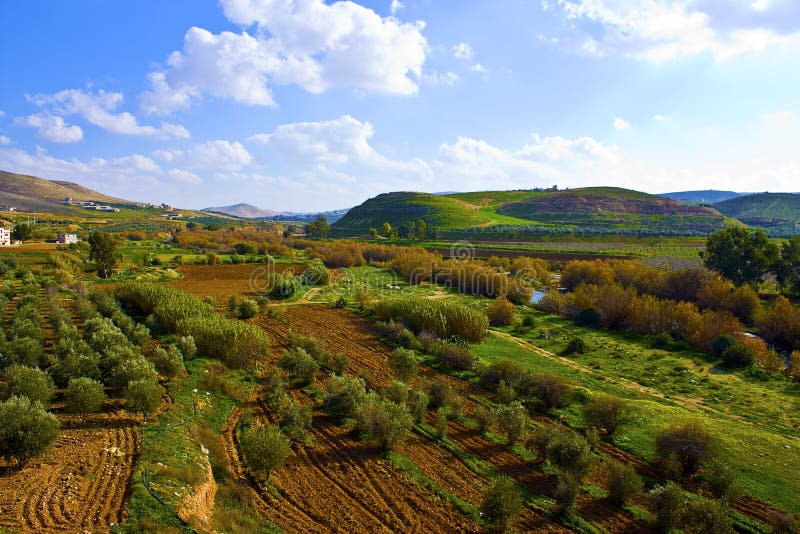 Israel Landscape stock photo. Image of ground, garden - 24093146