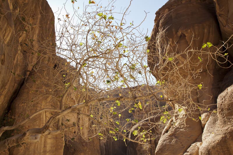 Jordan. Petra stock photo. Image of landscape, jordan - 43252064