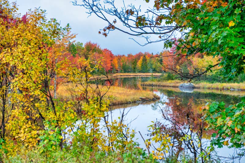 Jordan River Foliage Colors in Bar Harbor, Maine Stock Image - Image of ...