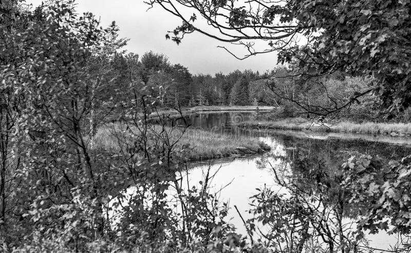 Jordan River Foliage Colors in Bar Harbor, Maine Stock Photo - Image of ...