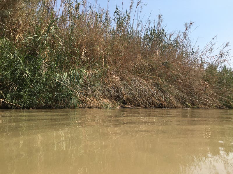 Jordan River in Israel. stock photo. Image of river - 254246110